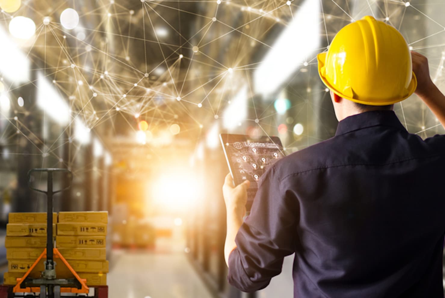 Onshoring Fundamentals - ElmTree Funds